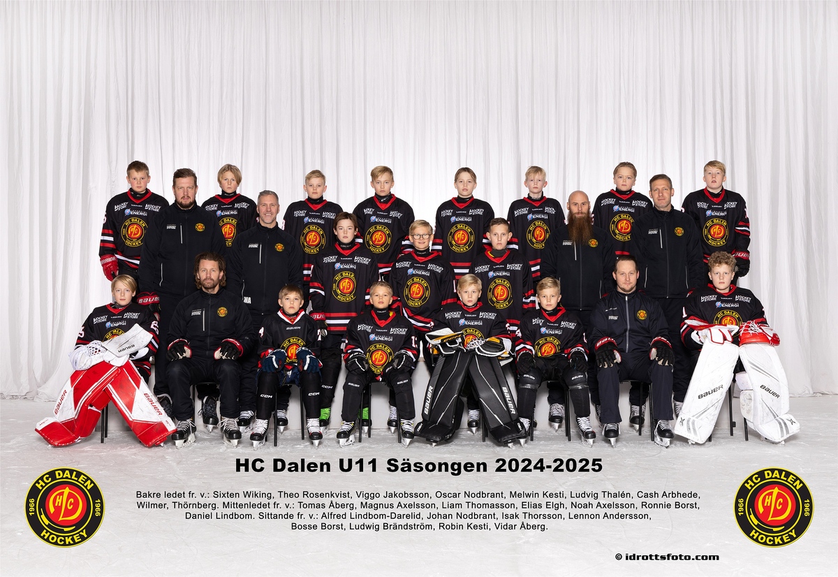 Truppen / HC Dalen - Team 14 (U12 - C1)