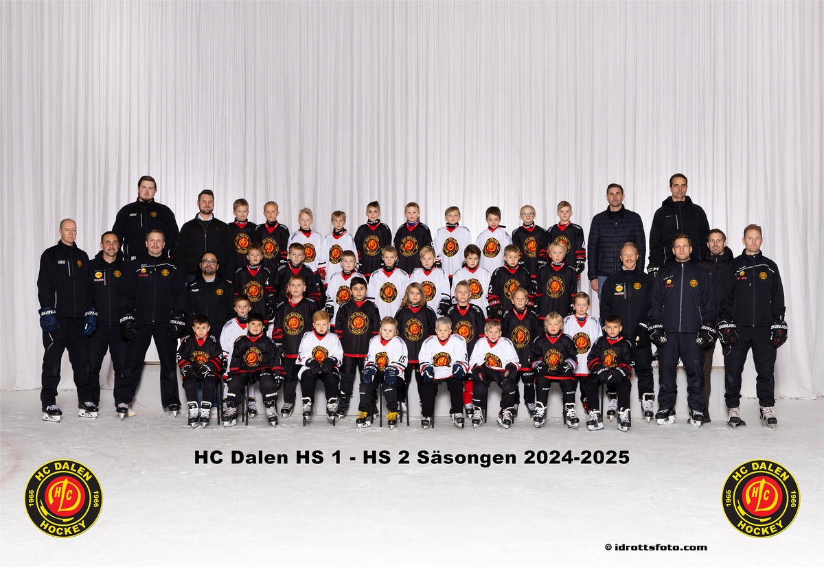 Truppen / HC Dalen - Tre Kronor Hockeyskolan 2 (Team 19)